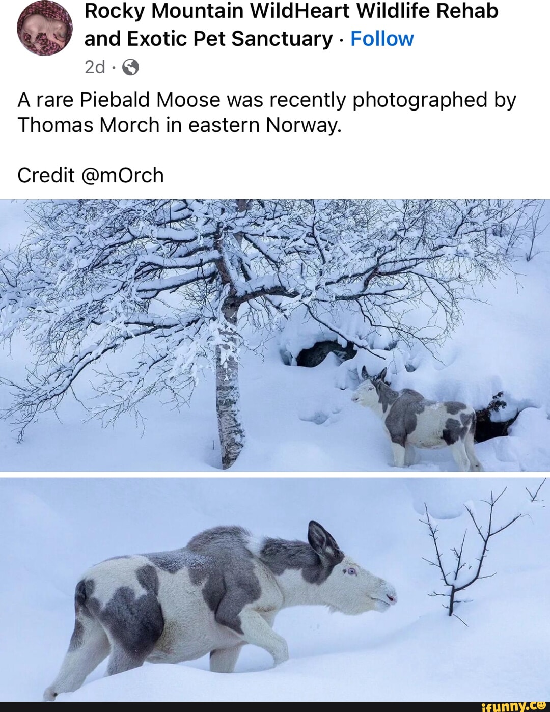 Video memes spfRNyFOB by lpoopl - iFunny