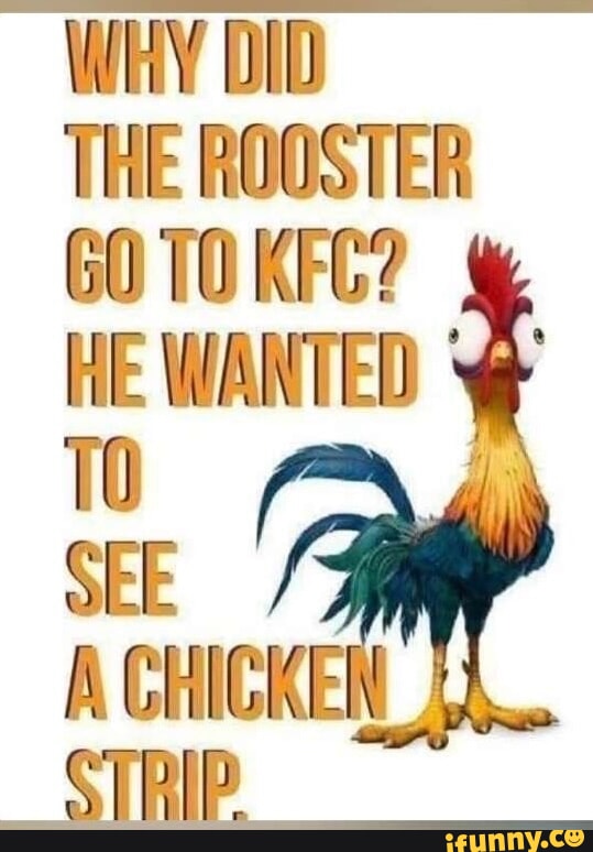 Rooster memes. Best Collection of funny Rooster pictures on iFunny