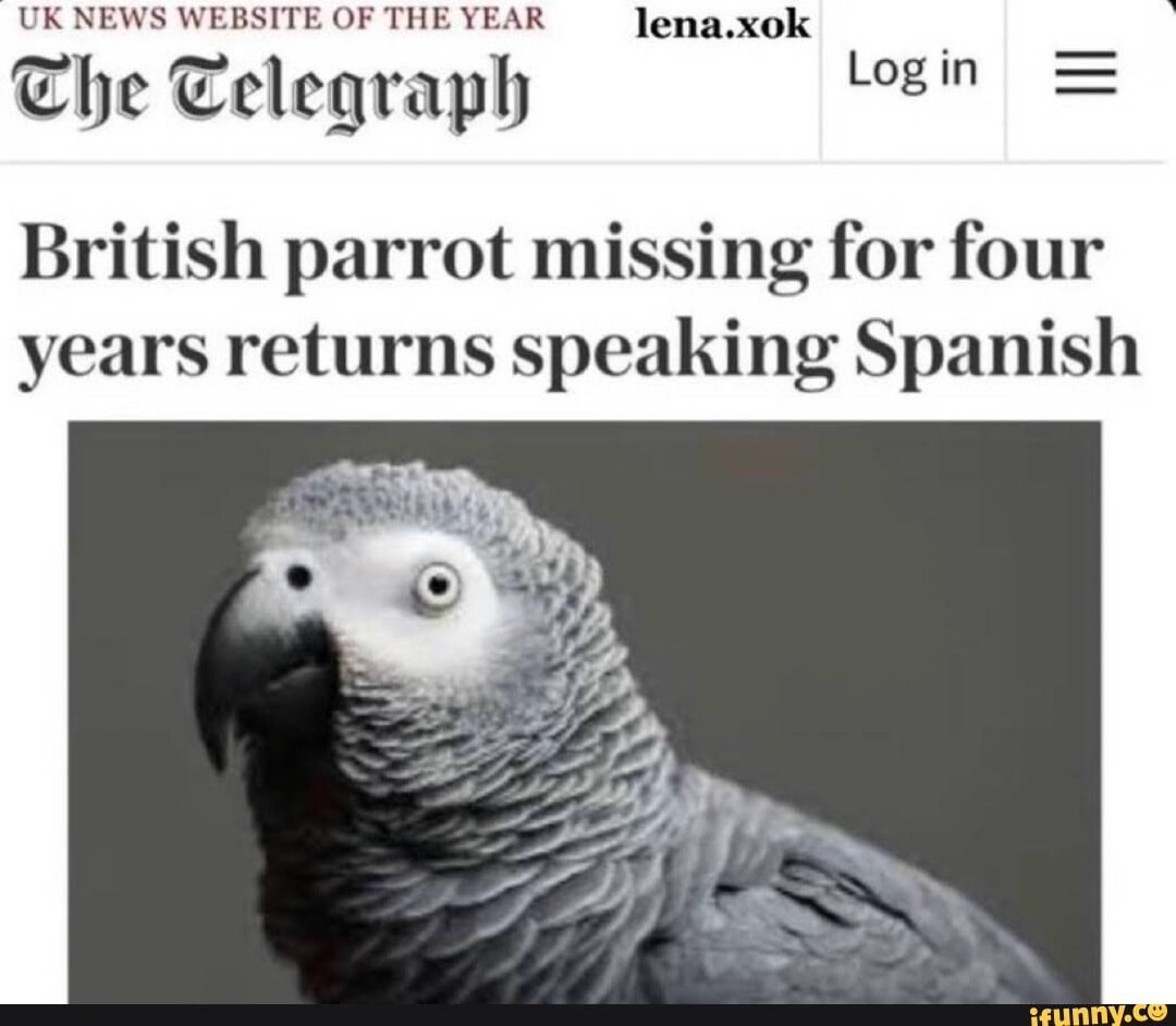 ME LLAMO PACO - UK NEWS WEBSITE OF THE YEAR lena.xok The Telegraph Log ...