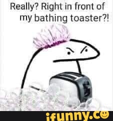 Really? Right in front of my bathing toaster?! - iFunny