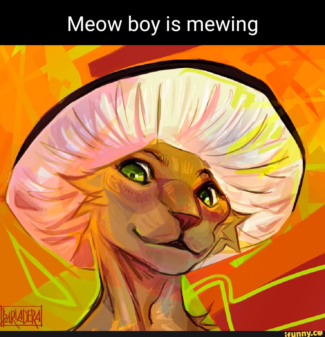 Mewing memes. Best Collection of funny Mewing pictures on iFunny