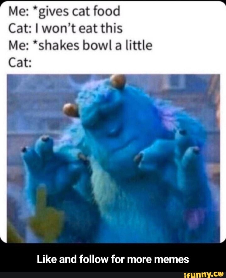 Me: *gives cat food Cat: I won't eat this Me: *shakes bowl a little Cat ...