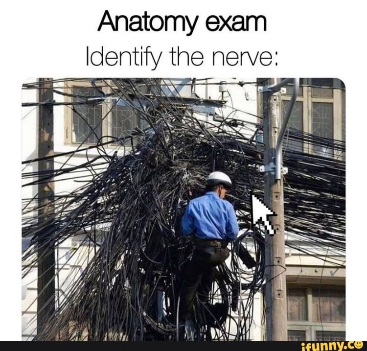 Biochemistry memes. Best Collection of funny Biochemistry pictures on ...