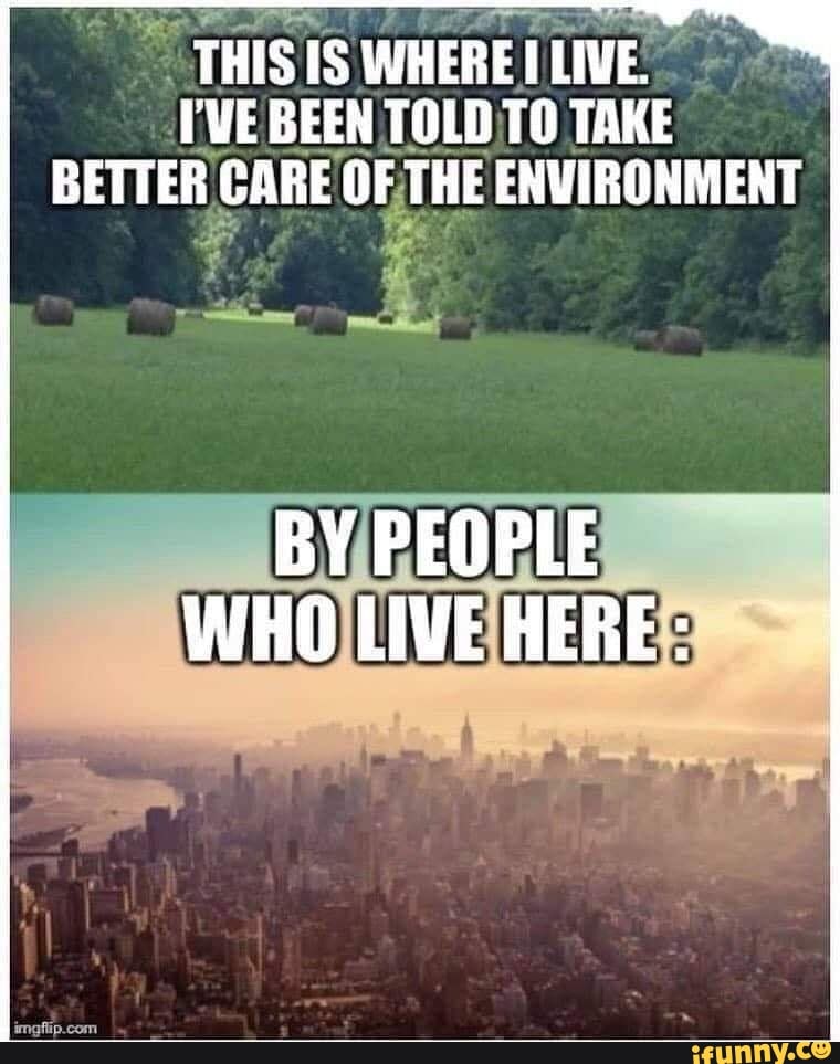 Video memes lPwbC36C7 by thegalaticlion_2019: 446 comments - )