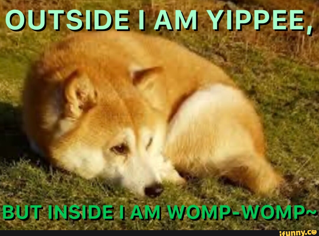 Shibe memes. Best Collection of funny Shibe pictures on iFunny