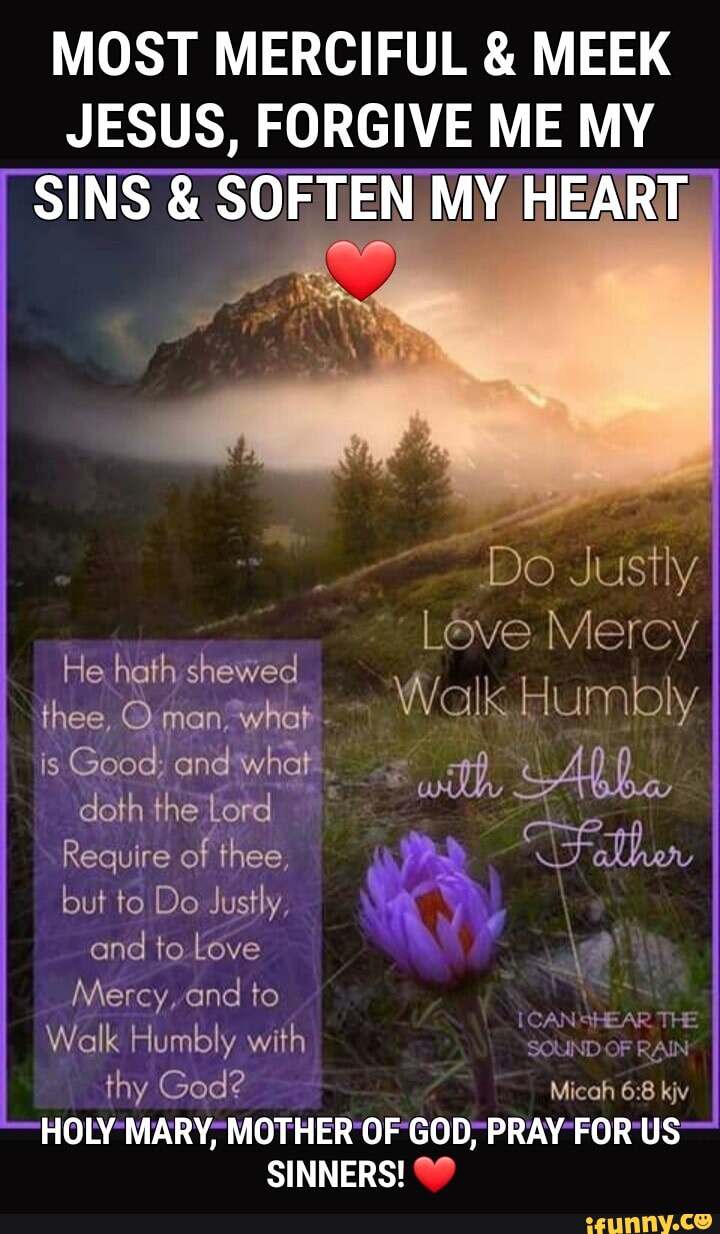 MOST MERCIFUL & MEEK JESUS, FORGIVE ME MY SINS & SOFTEN MY HEART Do ...