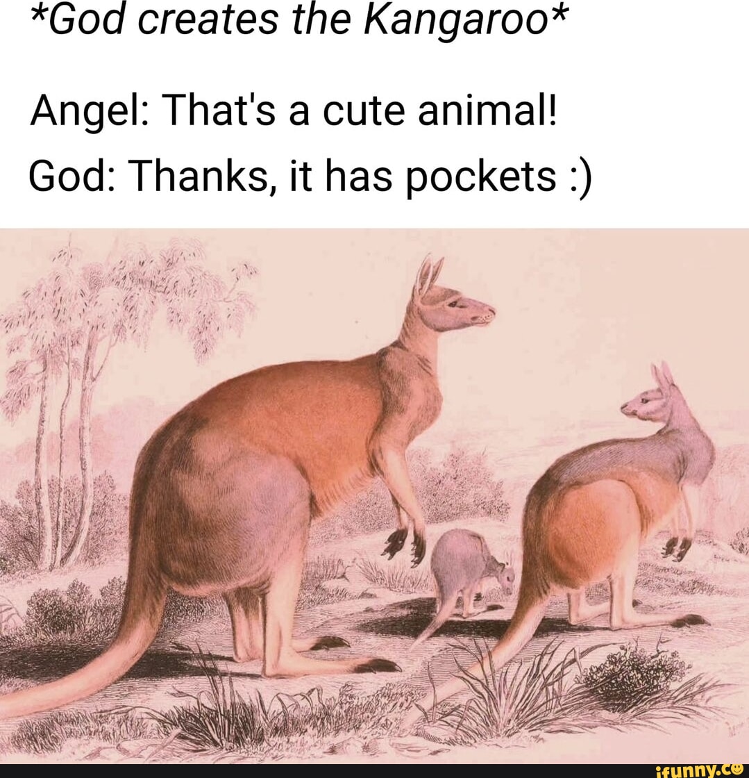 Picture memes NjFqacStA by rkolars - iFunny