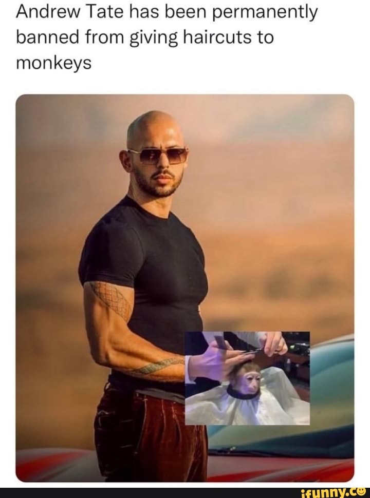 Andrew Tate has been permanently banned from giving haircuts to monkeys ...