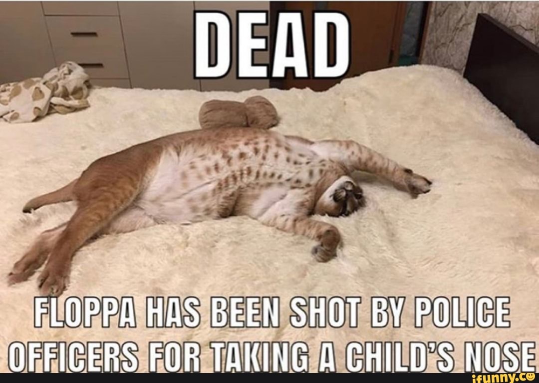 DEAD FLOPPA HAS BEEN SHOT BY POLICE OFFICERS FOR TAKING CHILD'S NOSE ...