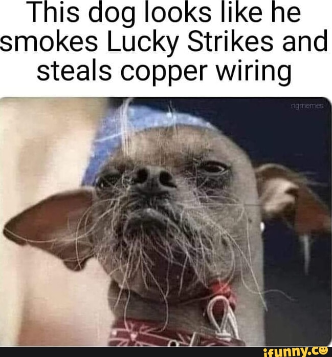 Wiring memes. Best Collection of funny Wiring pictures on iFunny