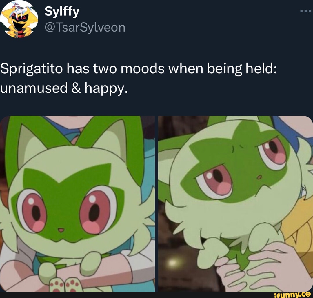 Video memes DD57j7BrA by Twenty_Two - iFunny