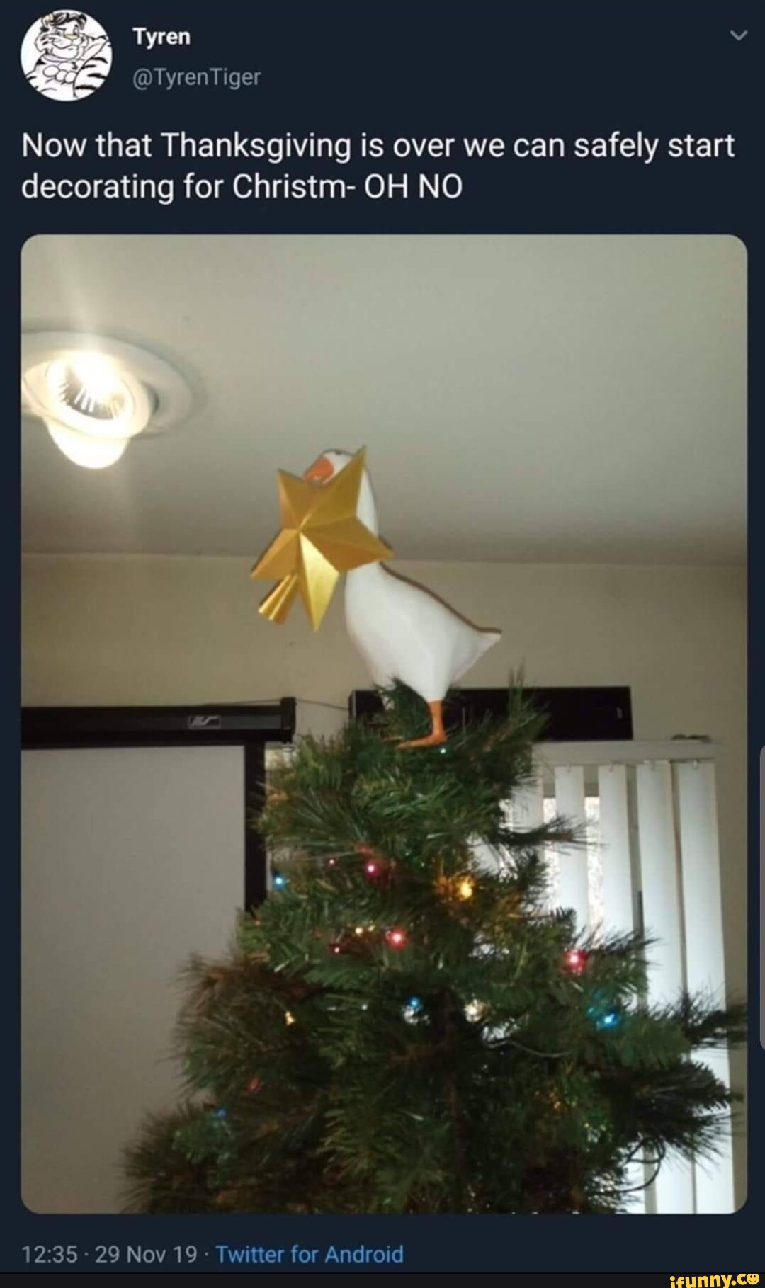 Tyren Now that Thanksgiving is over we can safely start decorating for ...