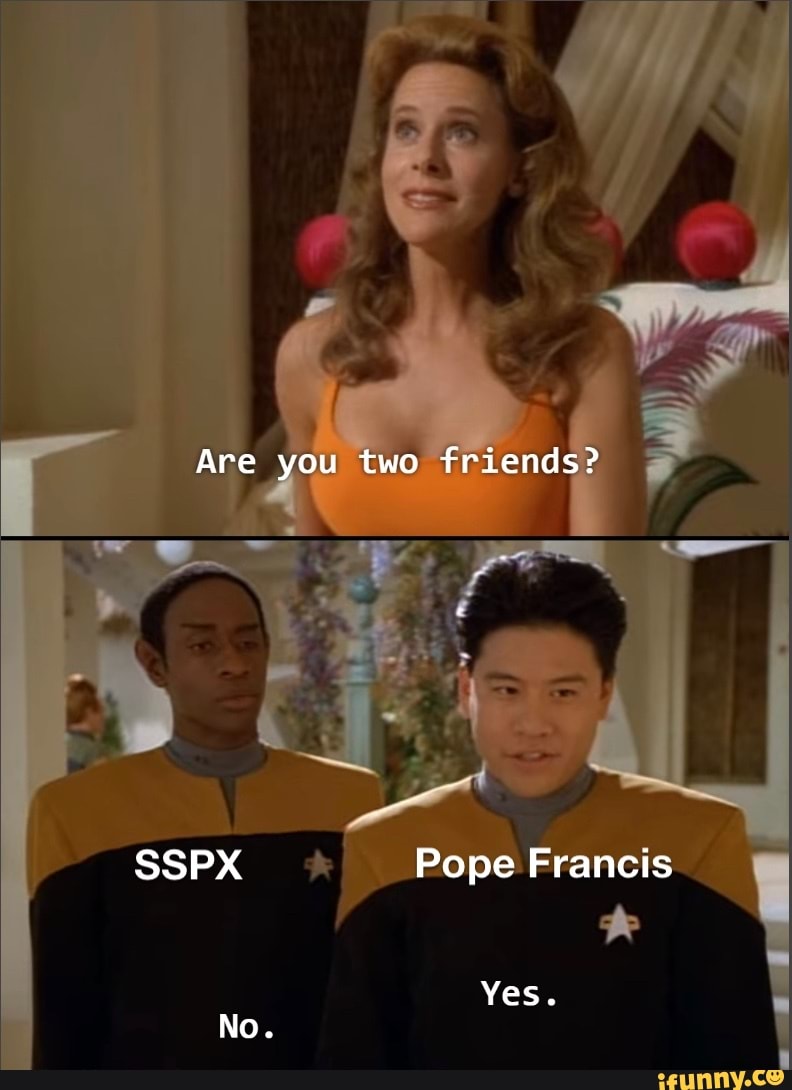 Are you two friends? SSPX Pope Francis Yes. No. - iFunny