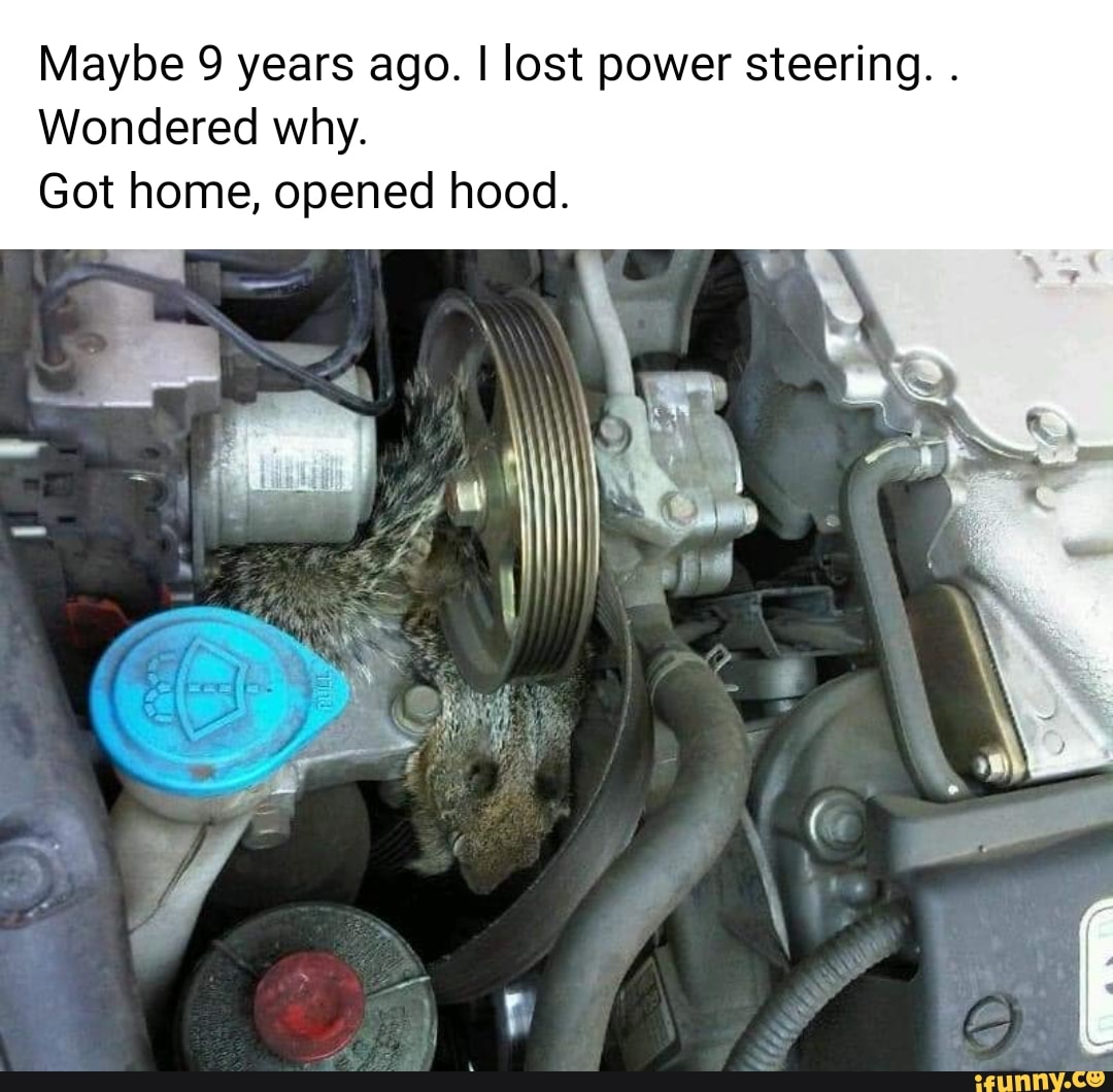 Maybe 9 years ago. I lost power steering. . Wondered why. Got home ...