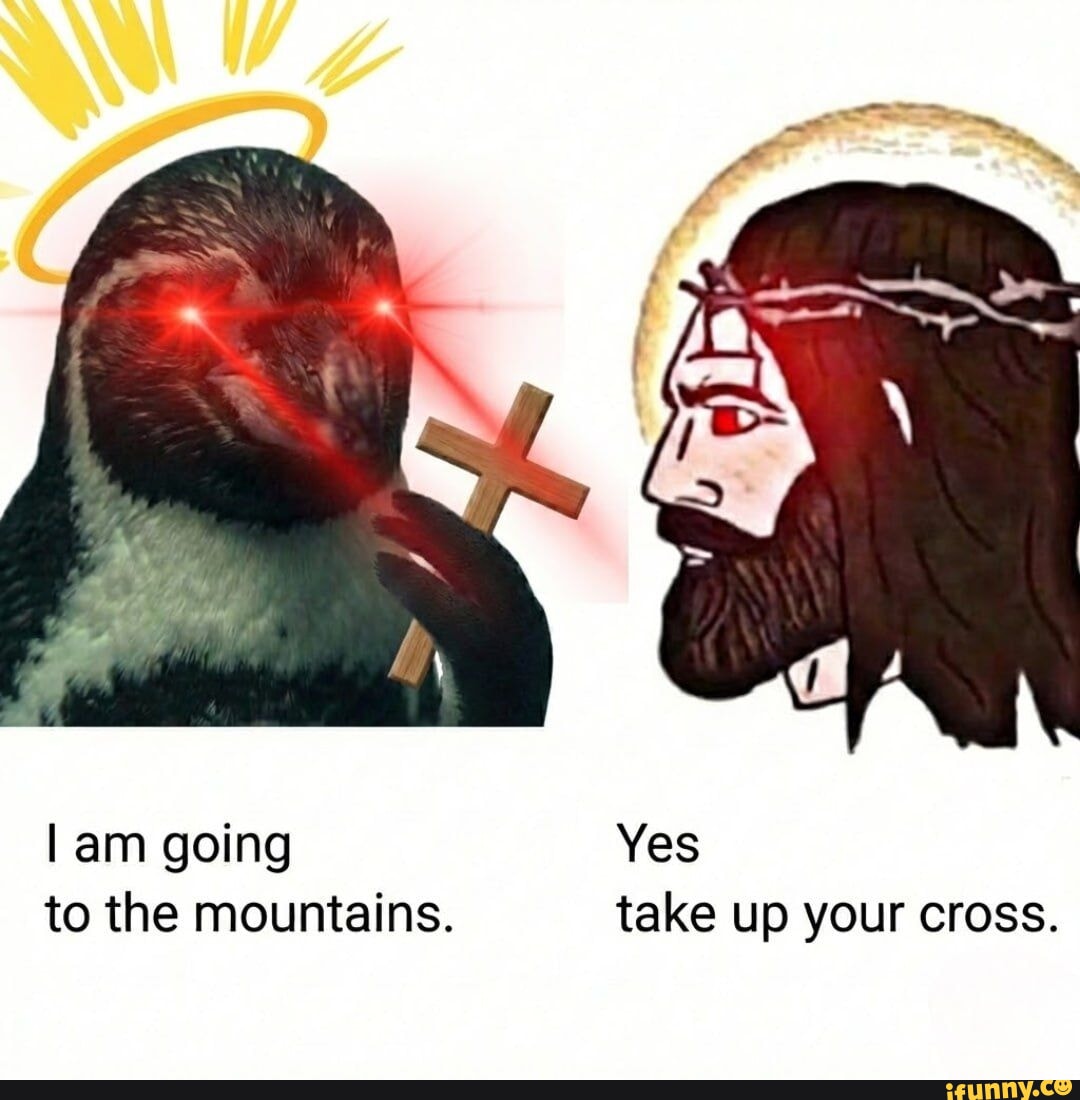 iFunny - the best memes, video, gifs and funny pics in one place