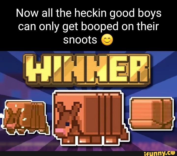 Booped memes. Best Collection of funny Booped pictures on iFunny
