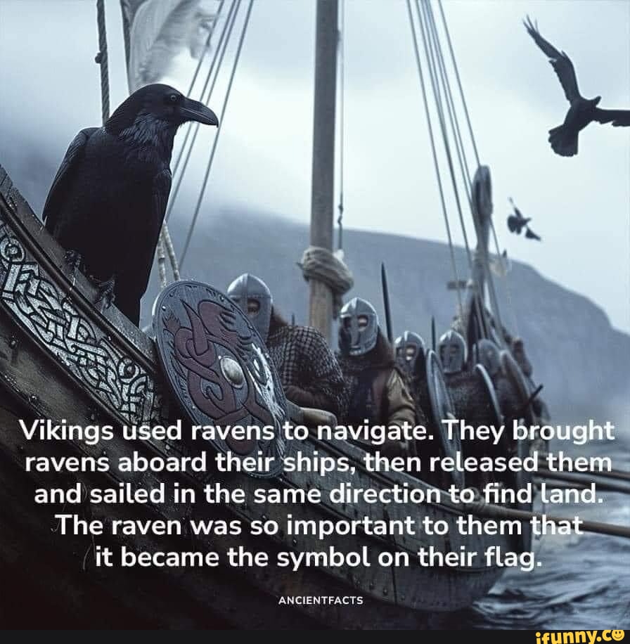 Vikings memes. Best Collection of funny Vikings pictures on iFunny