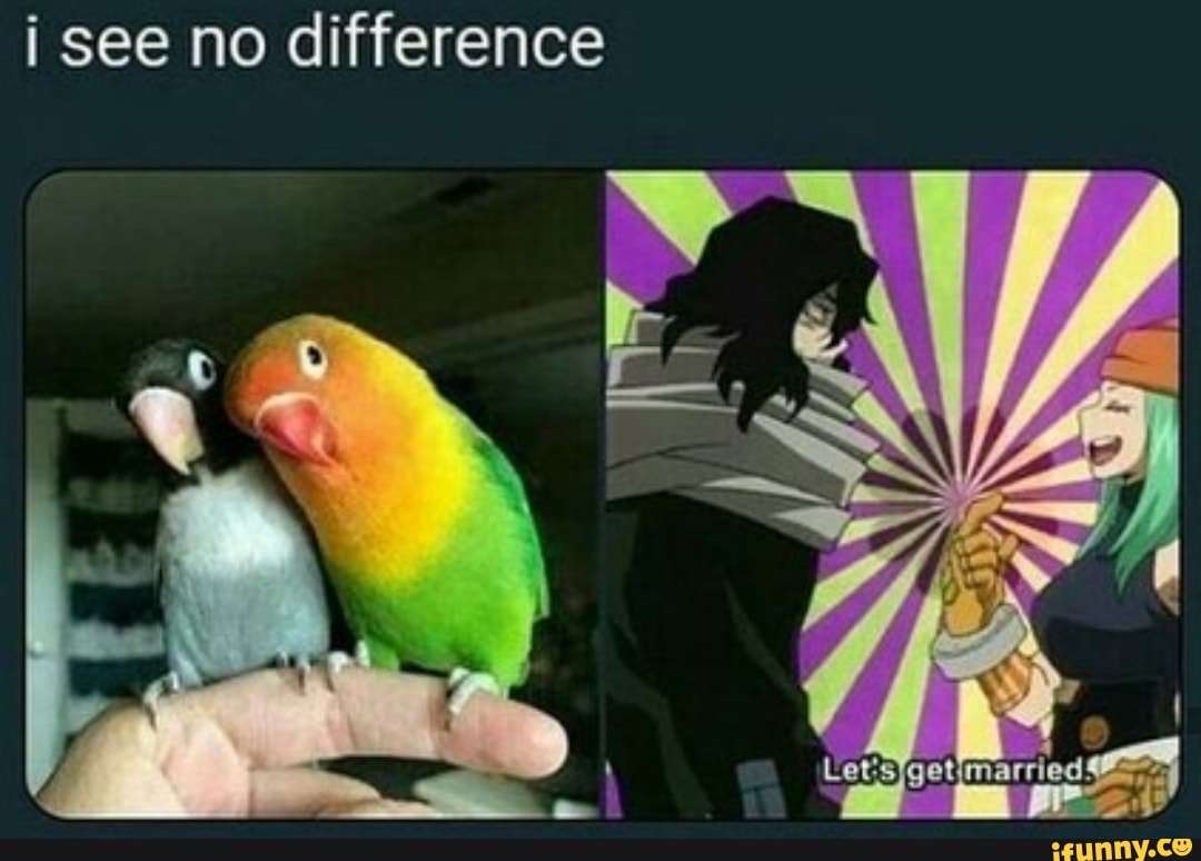 I see no difference - iFunny