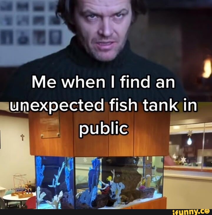 Me when I find an unexpected fish tank in public - iFunny