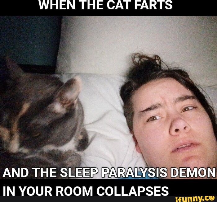 WHEN THE CAT FARTS AND THE SLEEP PARALYSIS DEMON IN YOUR ROOM COLLAPSES ...