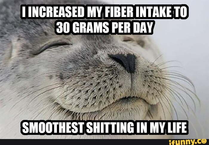 INCREASED MY FIBER INTAKE TO 30 GRAMS PER DAY SMOOTHEST SHITTING IN MY ...