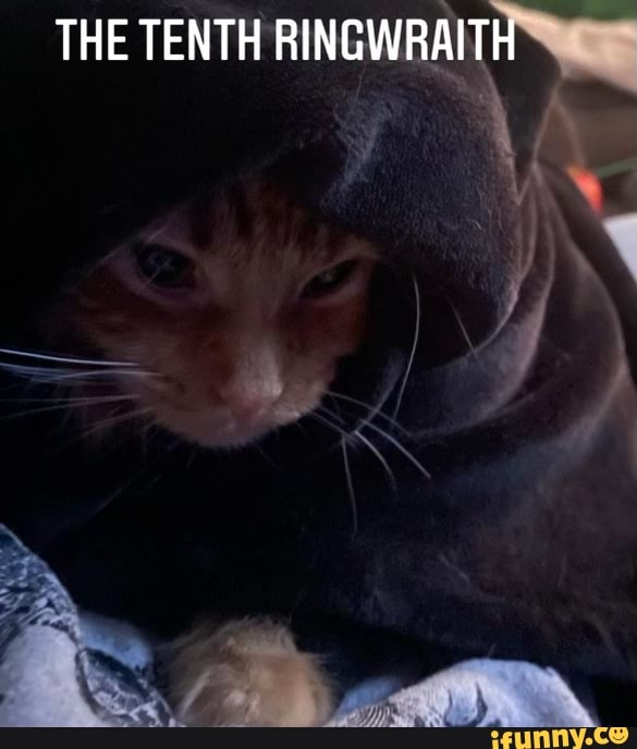 THE TENTH RINGWRAITH - iFunny