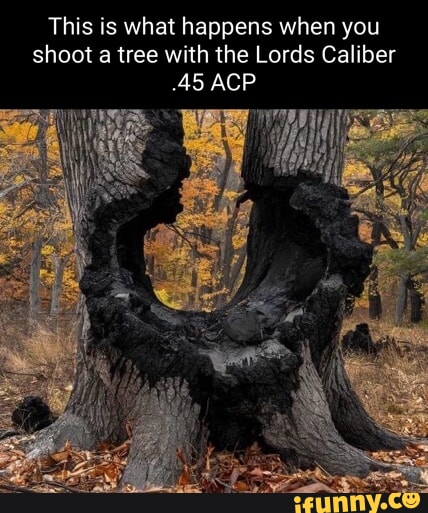 This is what happens when you shoot a tree with the Lords Caliber -45 ...