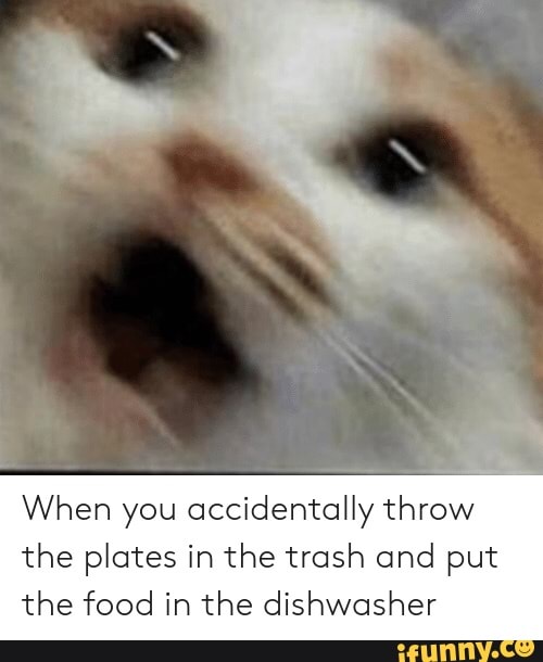 When you accidentally throw the plates in the trash and put the food in ...