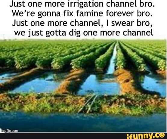 Famine memes. Best Collection of funny Famine pictures on iFunny