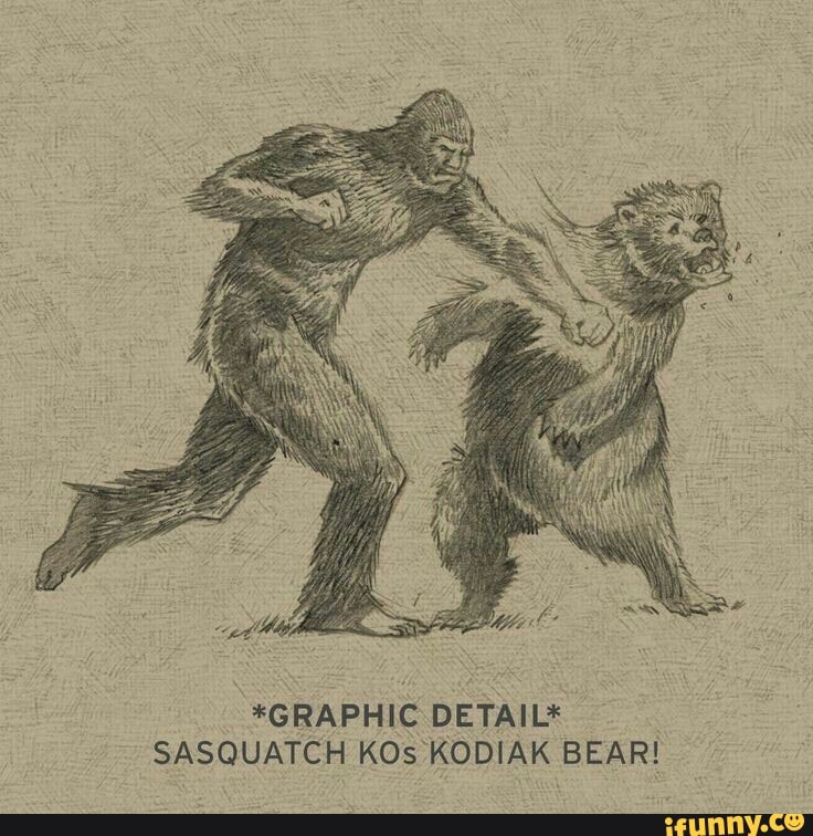 *GRAPHIC DETAIL* SASQUATCH KOS‘KODIAK BEAR! - iFunny