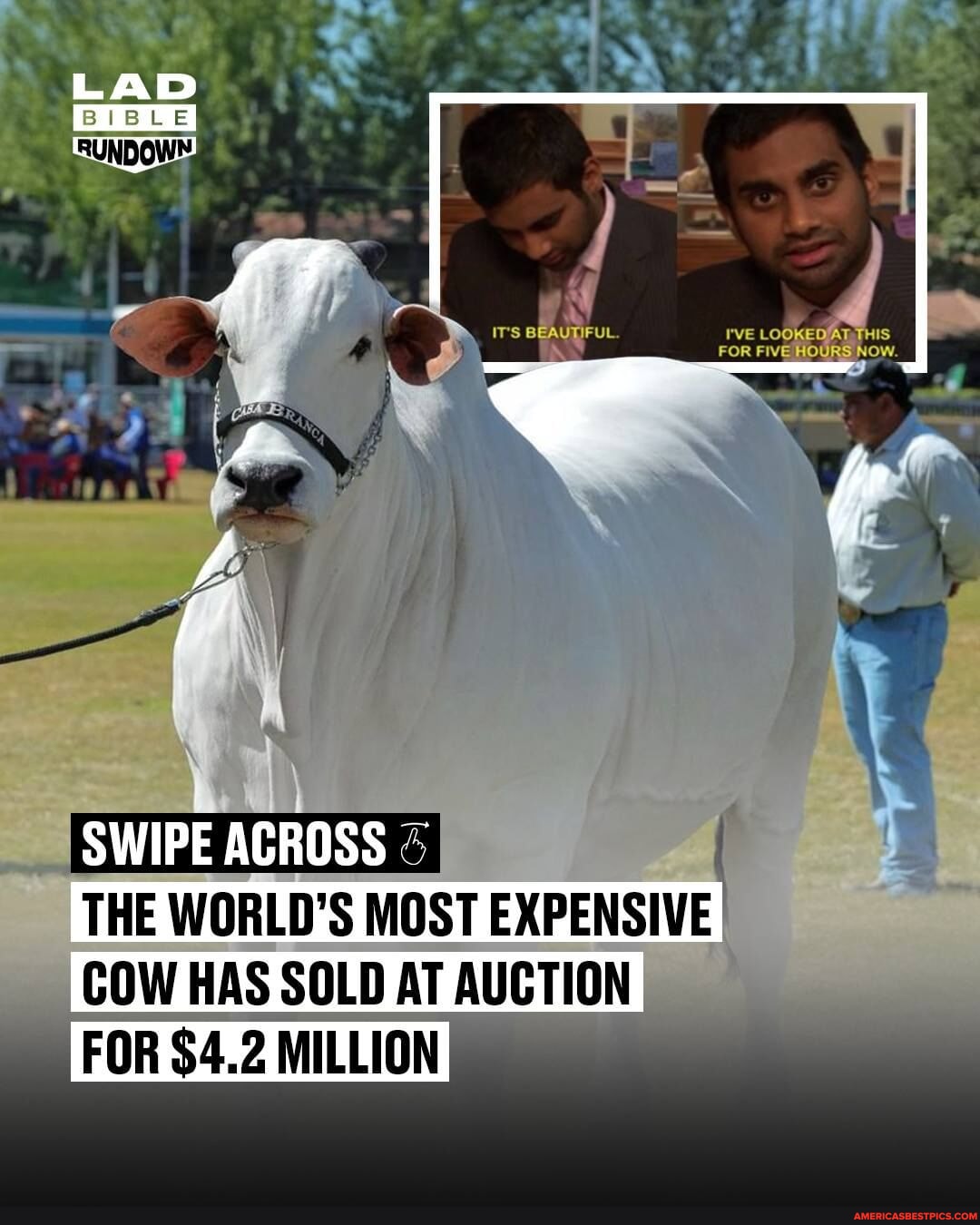 It sold for HOW MUCH? 😮 SWIPE ACROSS for The Rundown 👉 - SWIPE ACROSS I ...