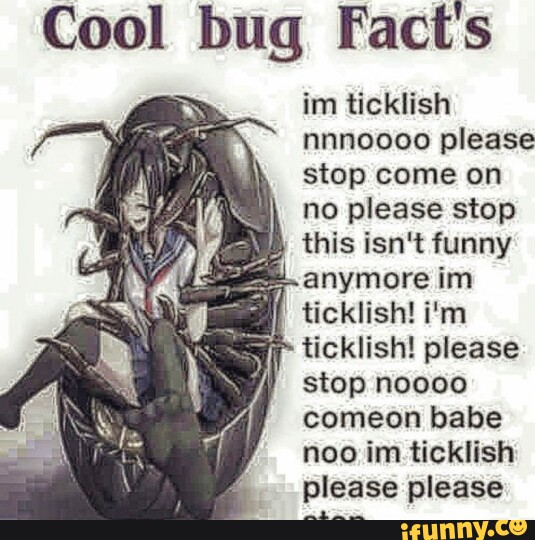 Cool bug Facts im ticklish nnnoooo please stop come on no please stop this isn't funny anymore ...