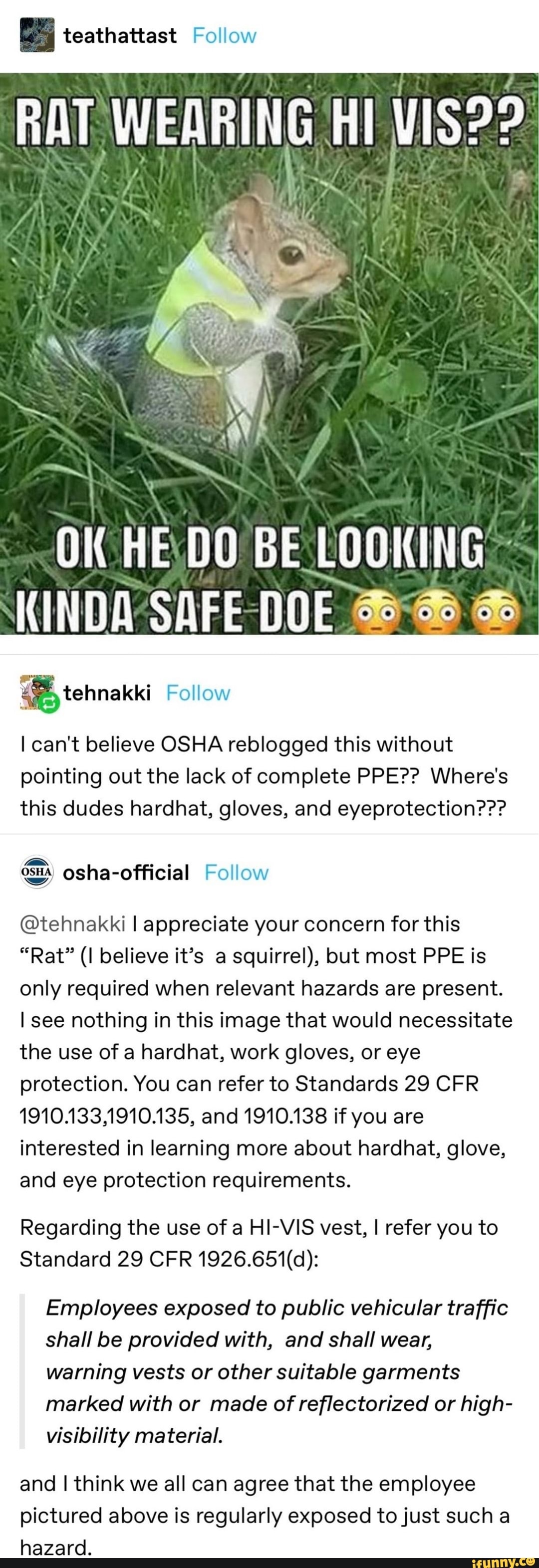 Teathattast Follow RAT WEARING HIVIS2? OK HE BE LOOKING DOE Follow I ...