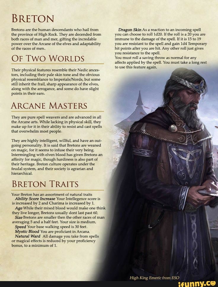 BRETON Bretons are the human descendants who hail from Dragon Skin As a ...