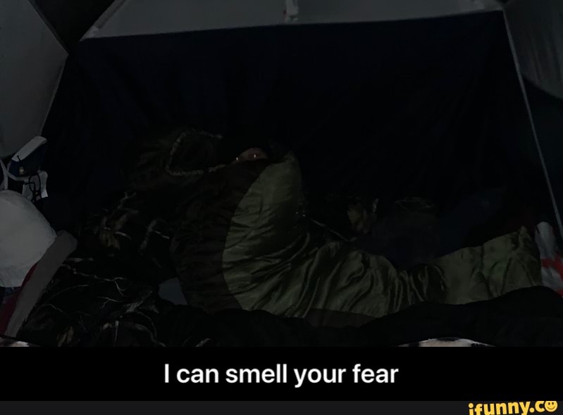 I can smell your fear - I can smell your fear - iFunny