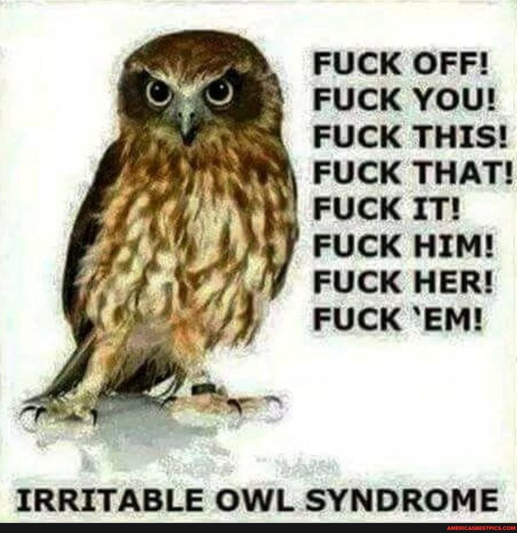 FUCK OFF FUCK YOU FUCK THIS FUCK THAT FUCK IT FUCK HIM FUCK HER FUCK OFF FUCK YOU FUCK THIS FUCK THAT FUCK IT FUCK HIM FUCK HER