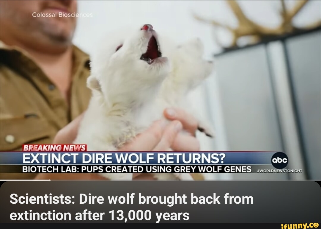 Co ossal Bloscic EXTINCT DIRE WOLF RETURNS? abe BIOTECH LAB: PUPS ...