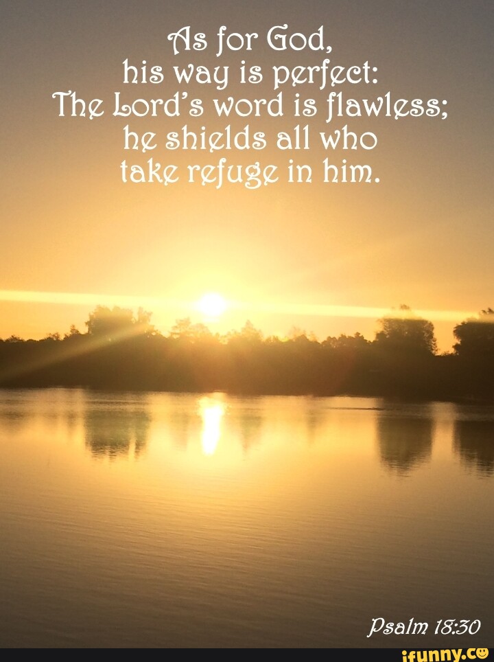As for God, his wag is perfeet: The lord's word is flawless; he shields ...