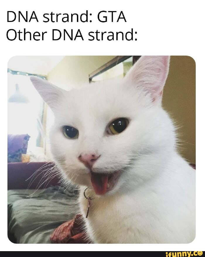 DNA strand: GTA Other DNA strand: - iFunny