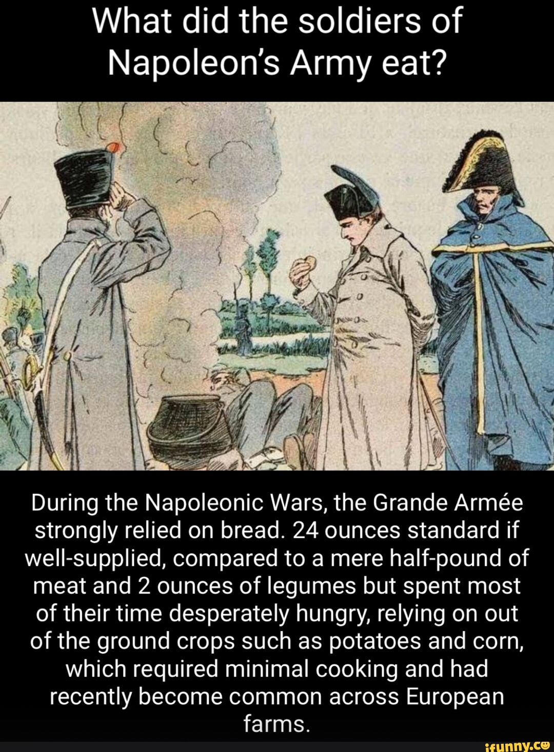 Napoleonic memes. Best Collection of funny Napoleonic pictures on iFunny