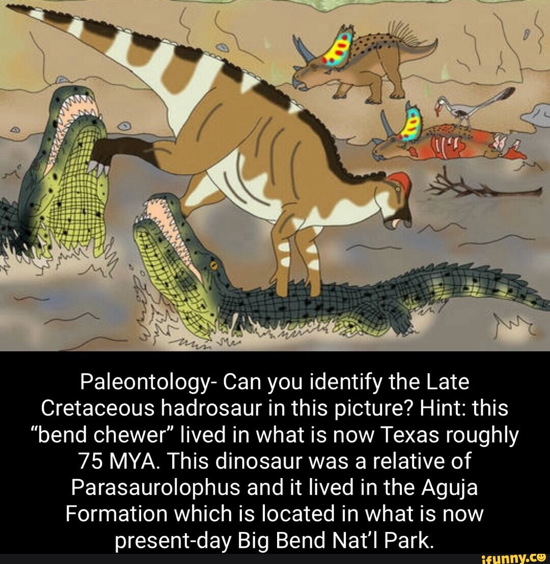 Parasaurolophus memes. Best Collection of funny Parasaurolophus ...