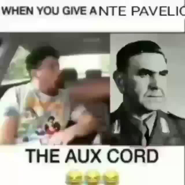 WHEN YOU GIVE ANTE PAVELIC THE AUX CORD - iFunny :)