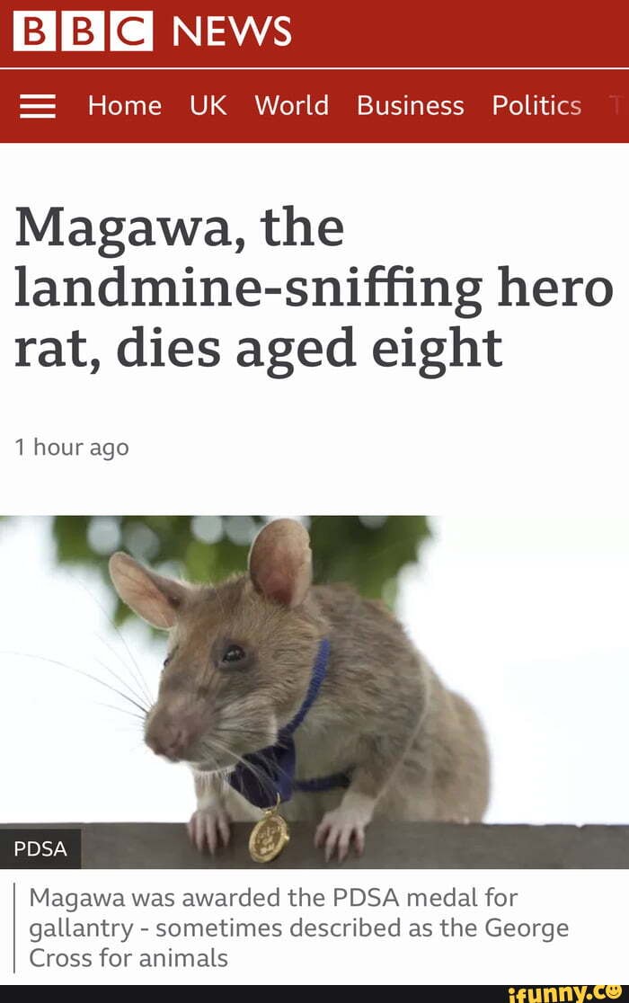 Pdsa memes. Best Collection of funny Pdsa pictures on iFunny