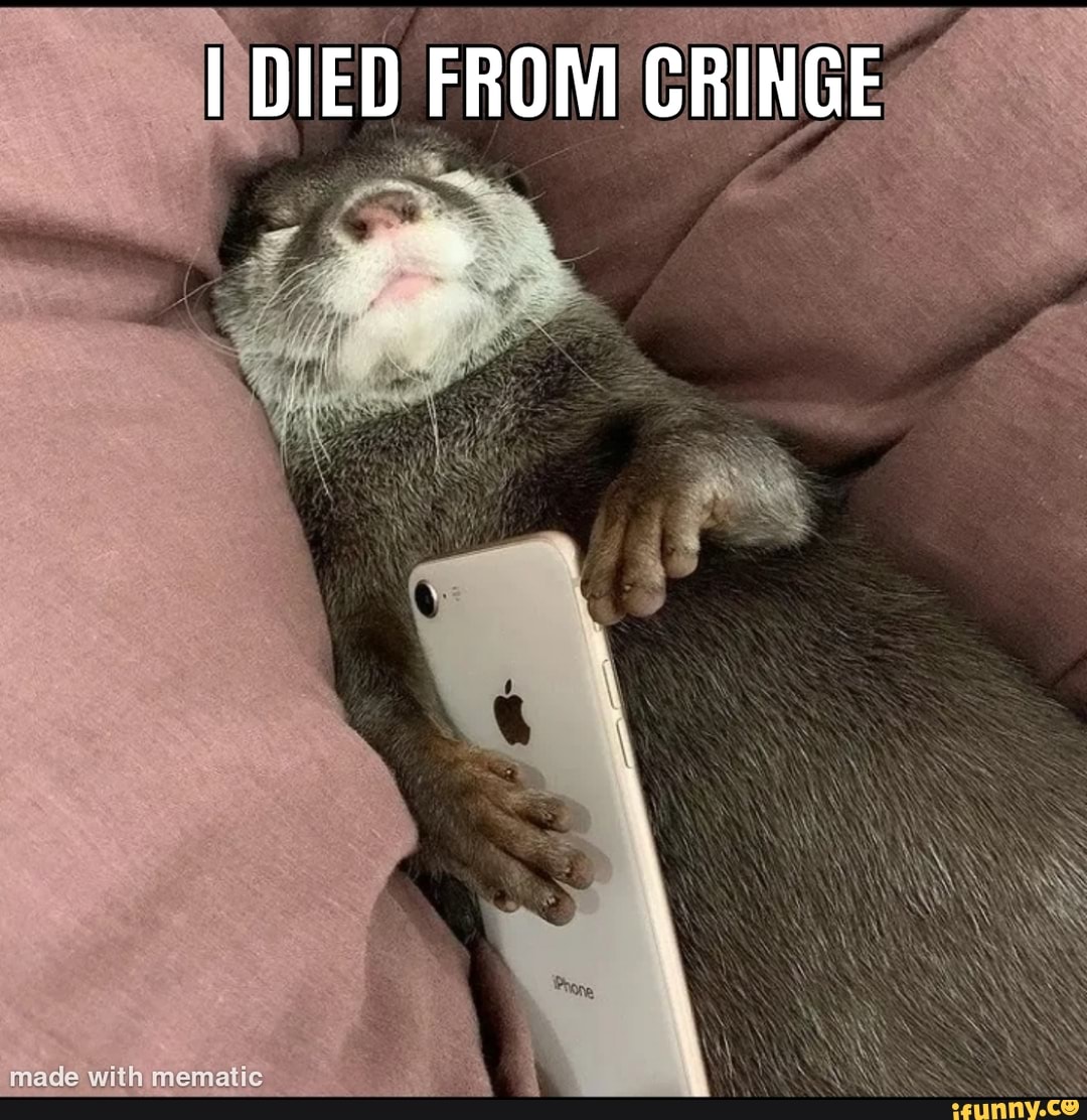 DIED FROM CRINGE made with - iFunny