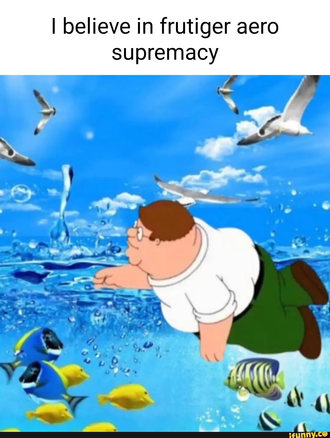 Frutigeraero memes. Best Collection of funny Frutigeraero pictures on ...