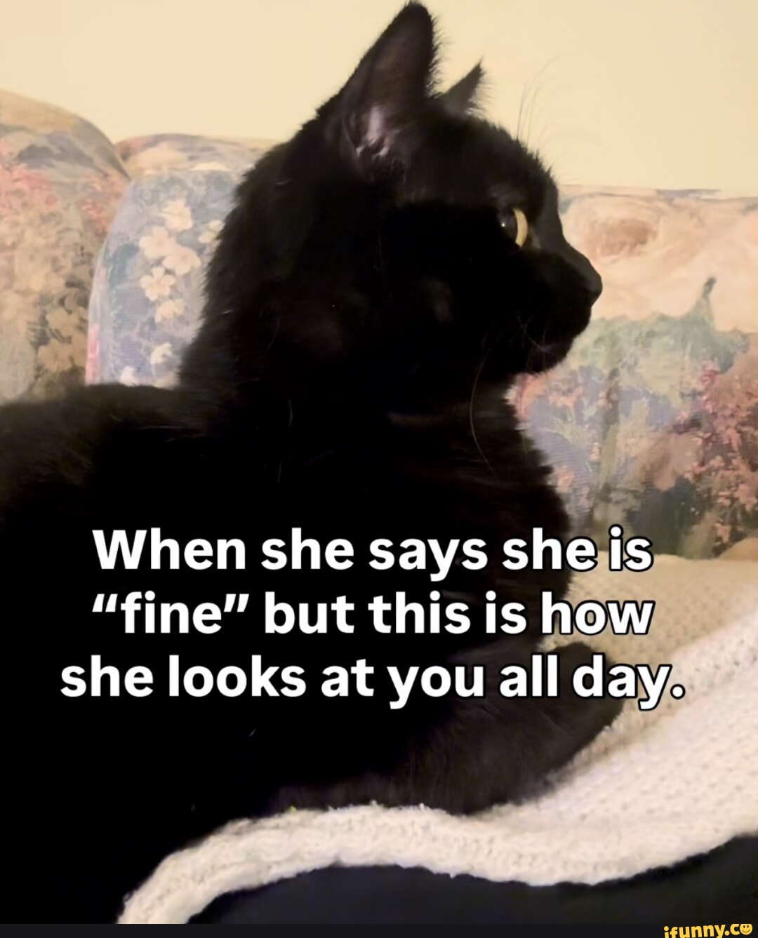 When she says she is "fine" but this is how, she looks at you all day ...