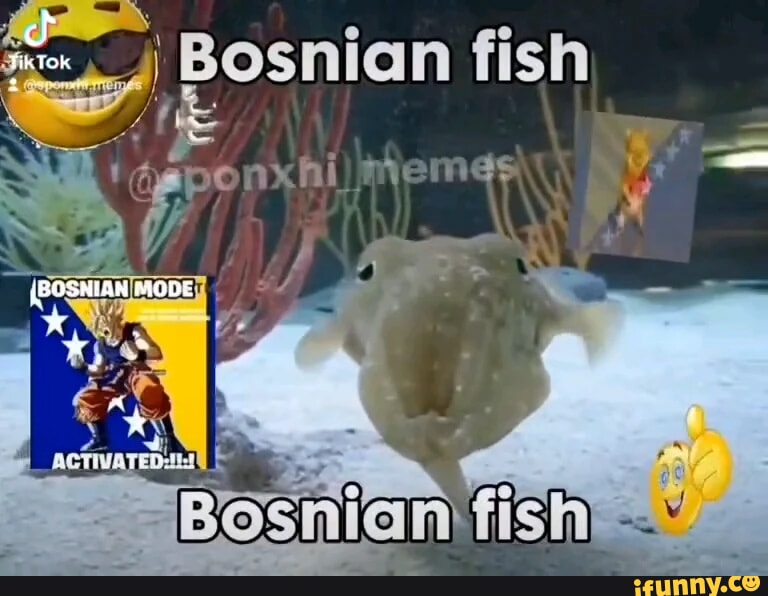 Bosnian memes. Best Collection of funny Bosnian pictures on iFunny
