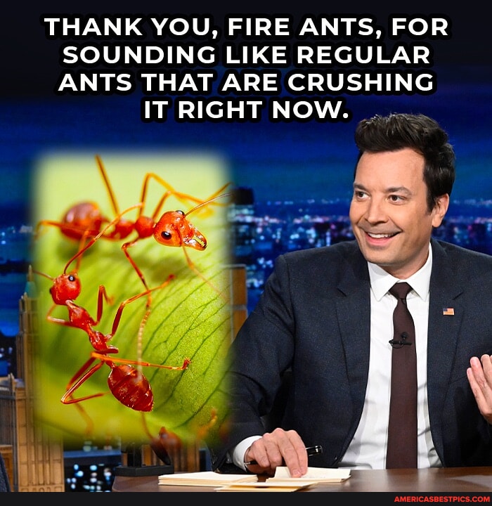 Thank you… ️ #FallonTonight #ThankYouNotes - THANK YOU, FIRE ANTS, FOR ...
