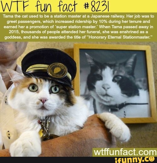 Laring memes. Best Collection of funny Laring pictures on iFunny