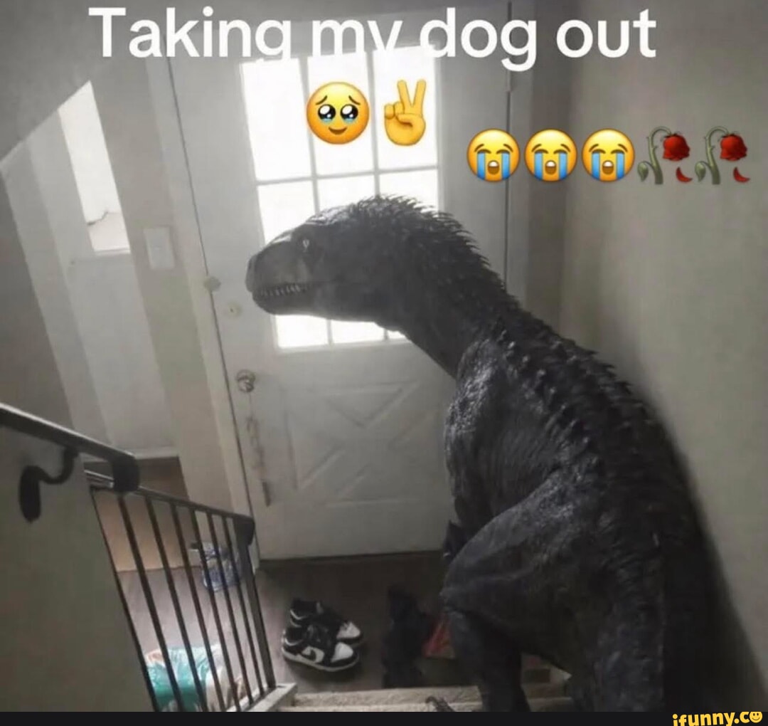 iFunny - the best memes, video, gifs and funny pics in one place